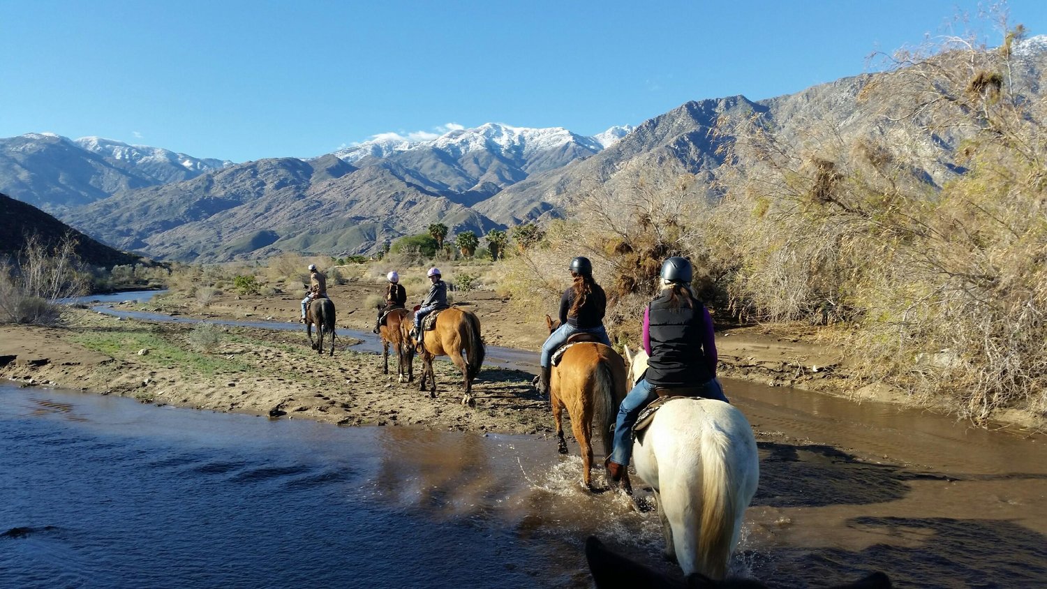 Horseback Riding - Parker Palm Springs